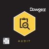 Real-World Case Studies in Continuous Auditing – Lessons from the Field ...
