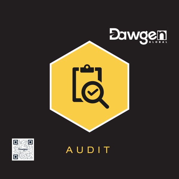 Real-World Case Studies in Continuous Auditing – Lessons from the Field ...