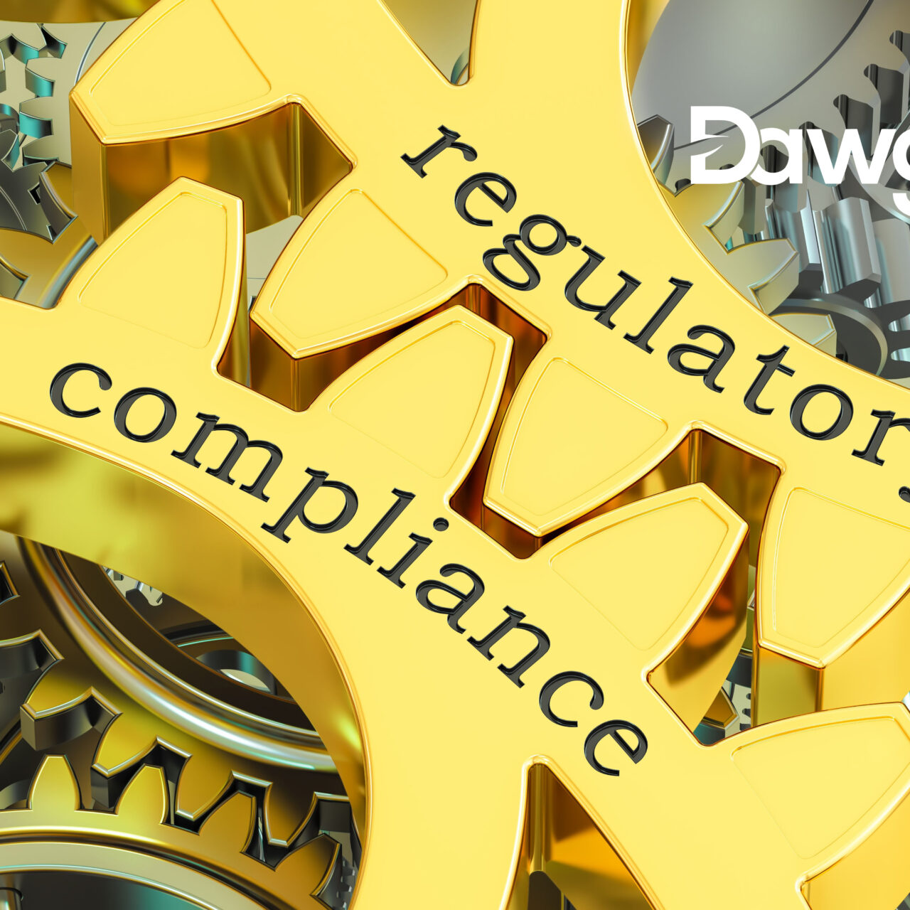 forward looking transition plan statements assurance limitations ...